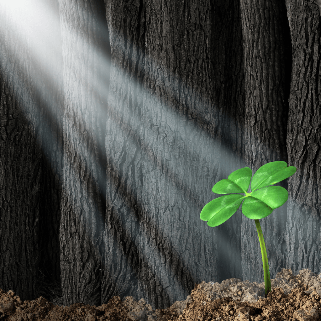 Cultivate Resilience With This Simple Little-Known "Hack" - Certified Flourishing Coach